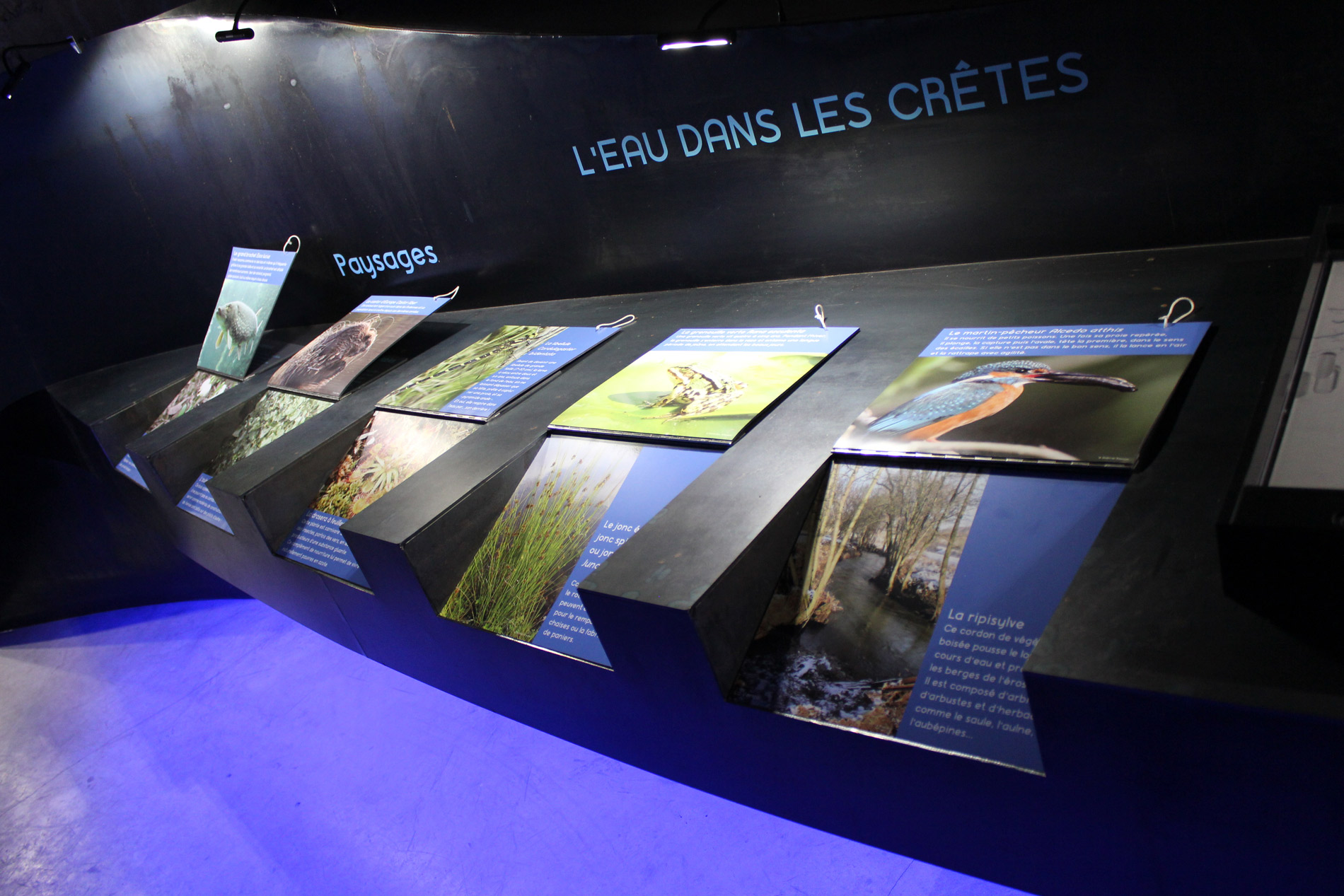 exposition-interactive - Domaine de Vendresse